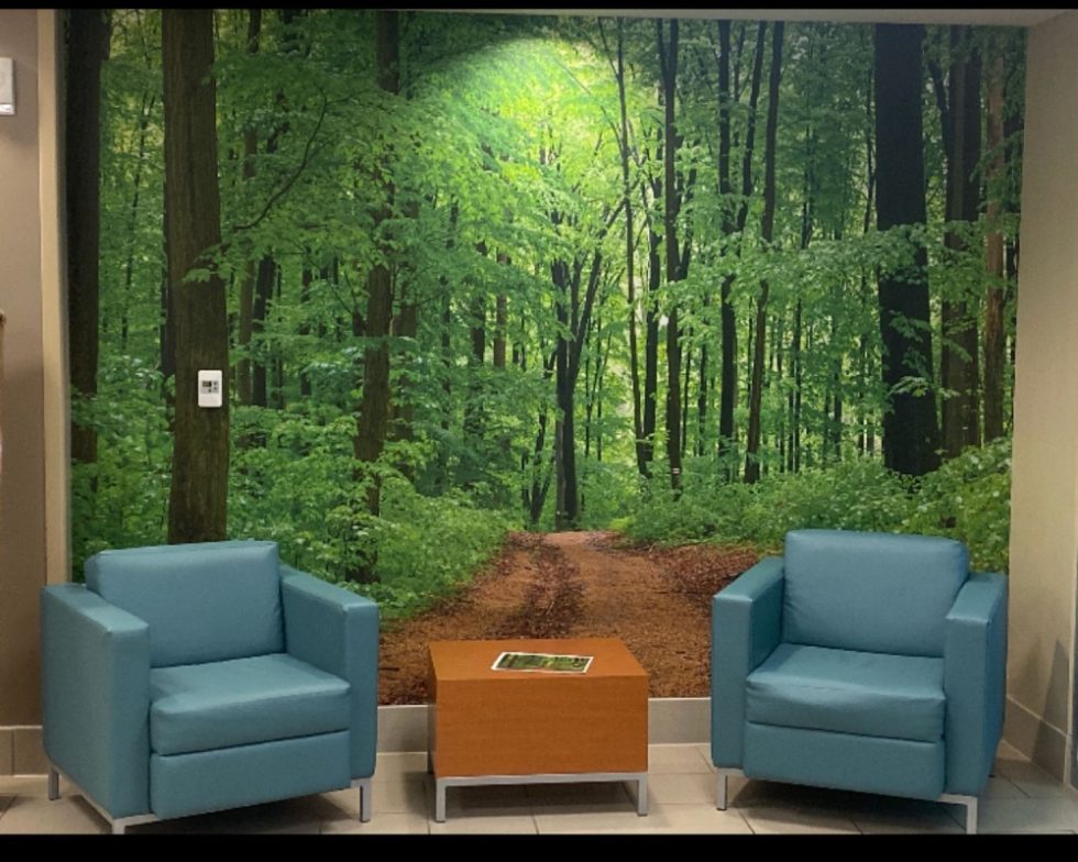 Behavioral Health-Mental Health Hospital - Psych Hospital | Ridgeview ...